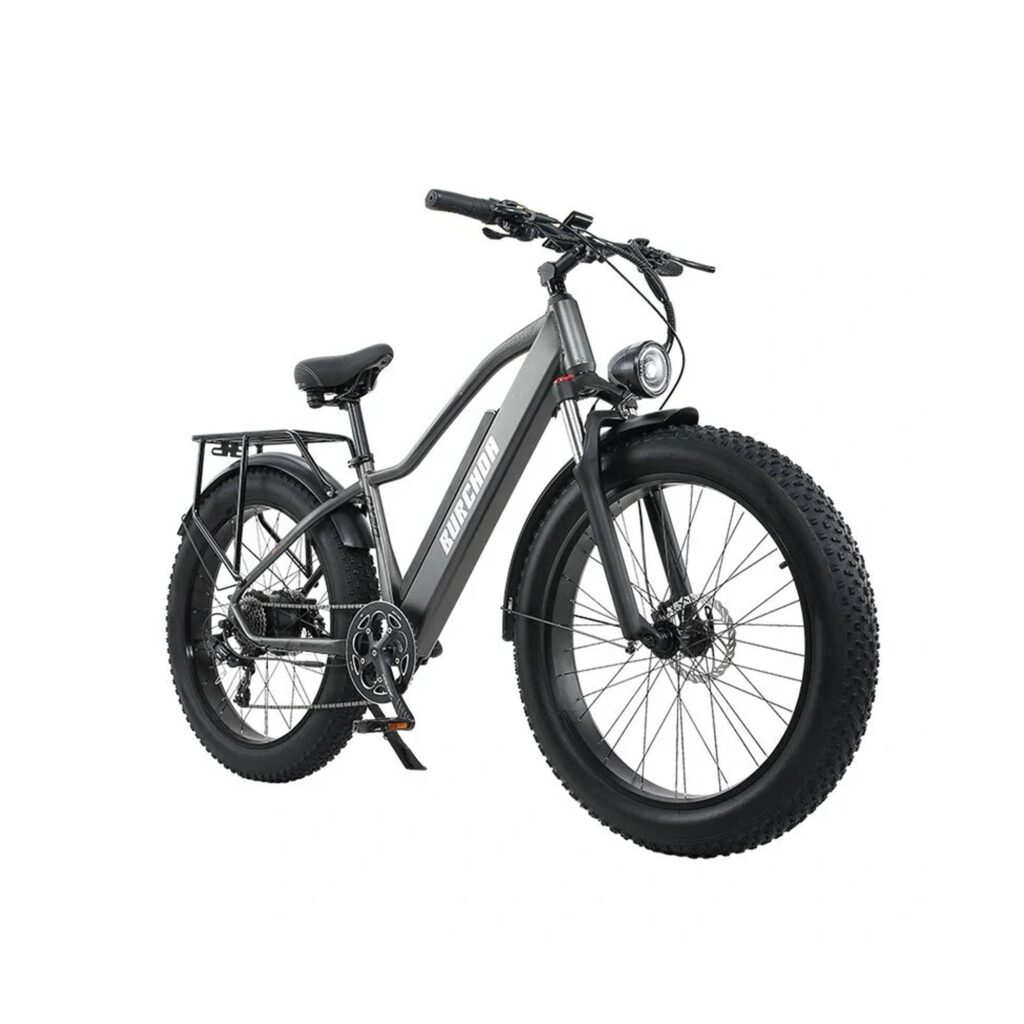 Xe đạp trợ lực điện Burchda RX70